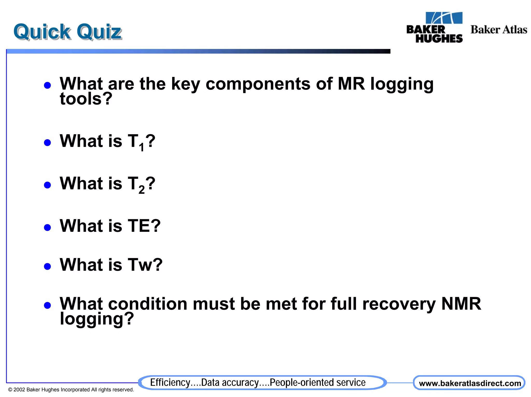 MREX (NMR Logging) | PDF