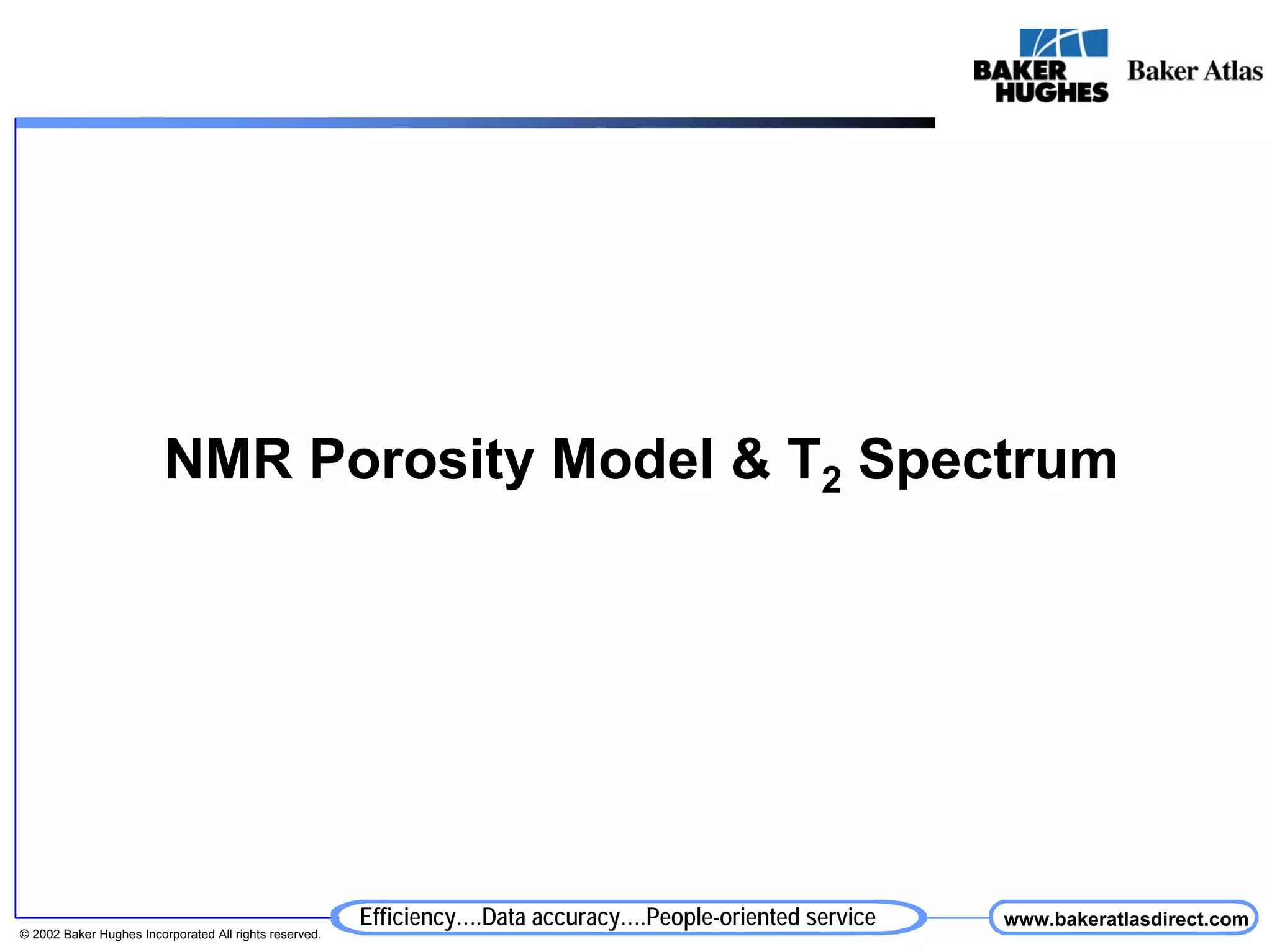 MREX (NMR Logging) | PDF