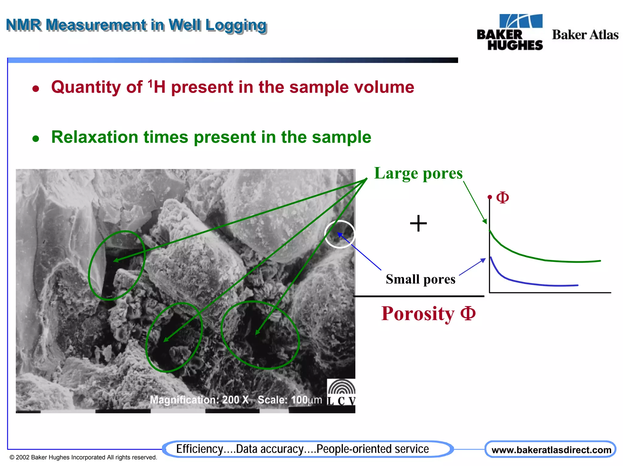MREX (NMR Logging) | PDF