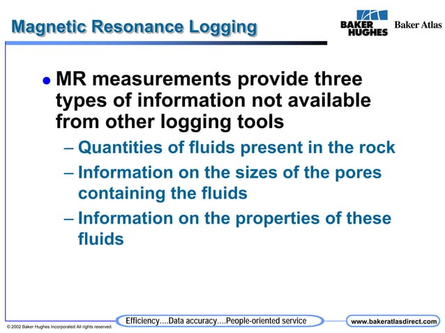 MREX (NMR Logging) | PDF