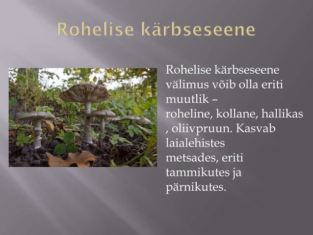 Mürgised seened | PPT
