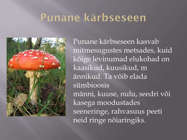 Mürgised seened | PPT