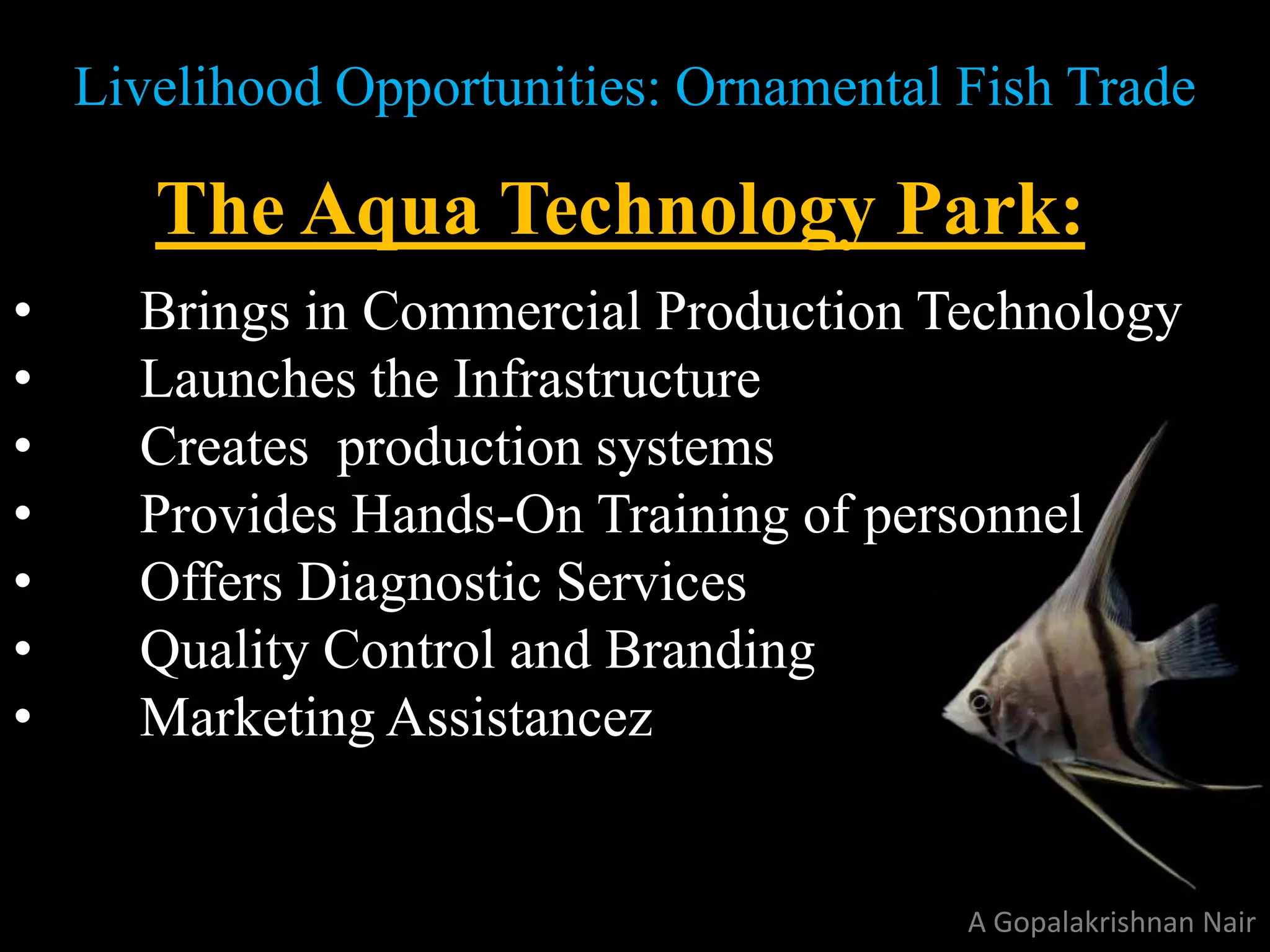Agribusiness 360: Ornamental Fish Trade | PDF