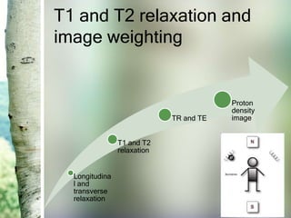 MRI | PPTX
