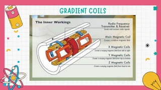 Presentation About Magnetic Resonance Imaging (MRI). | PPTX
