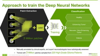 Automatic Brain Tumor Segmentation on Multi-Modal MRI with Deep Neural ...