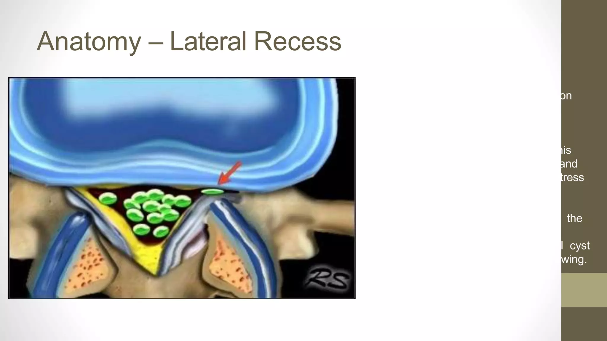 MRI-in Spine PPT.pptx