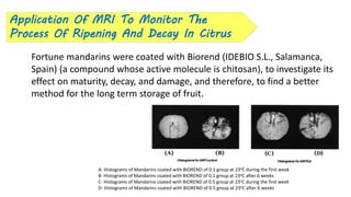 MAGNETIC RESONANCE IMAGING IN FOOD | PPTX