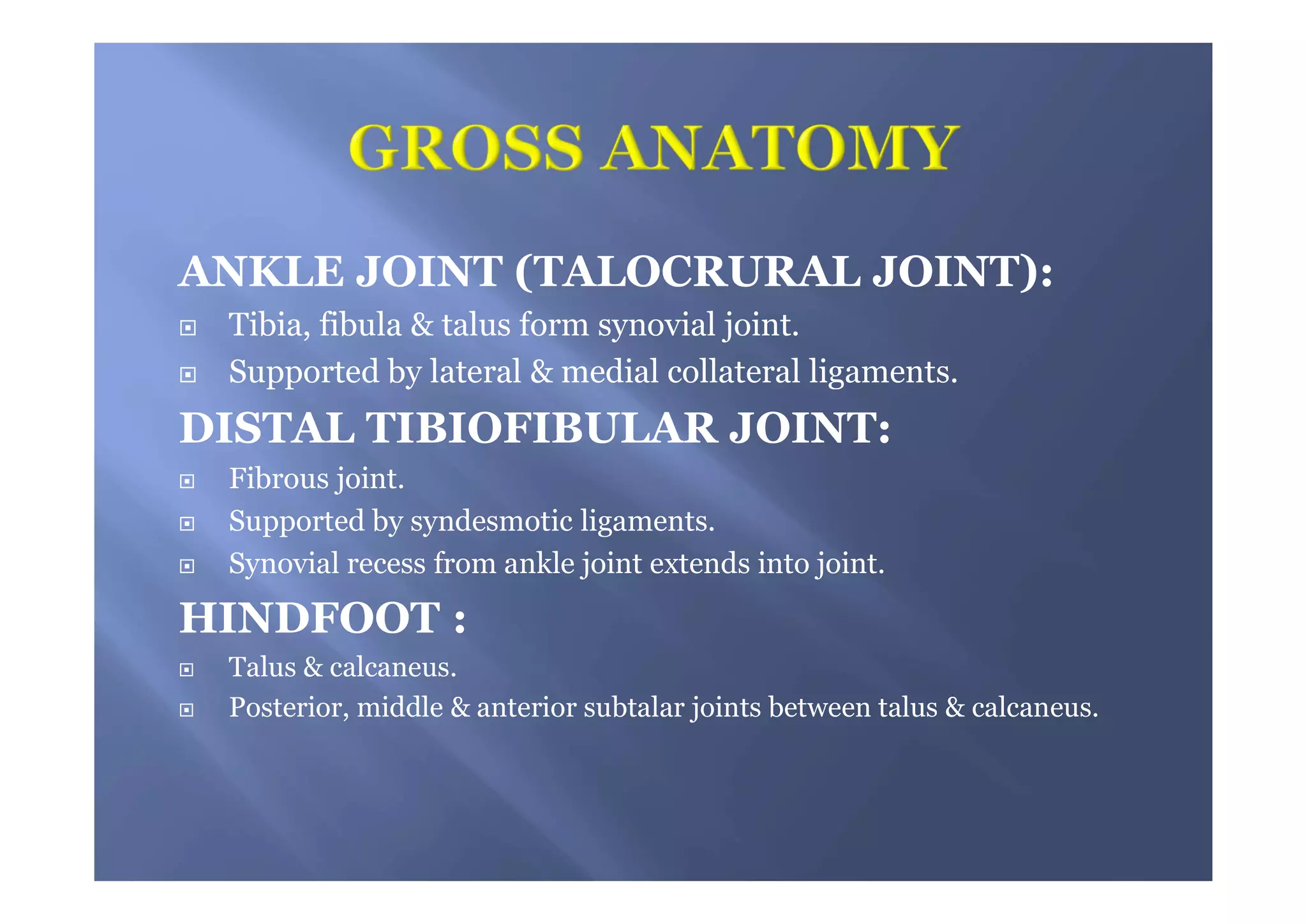 Mri anatomy of ankle | PDF