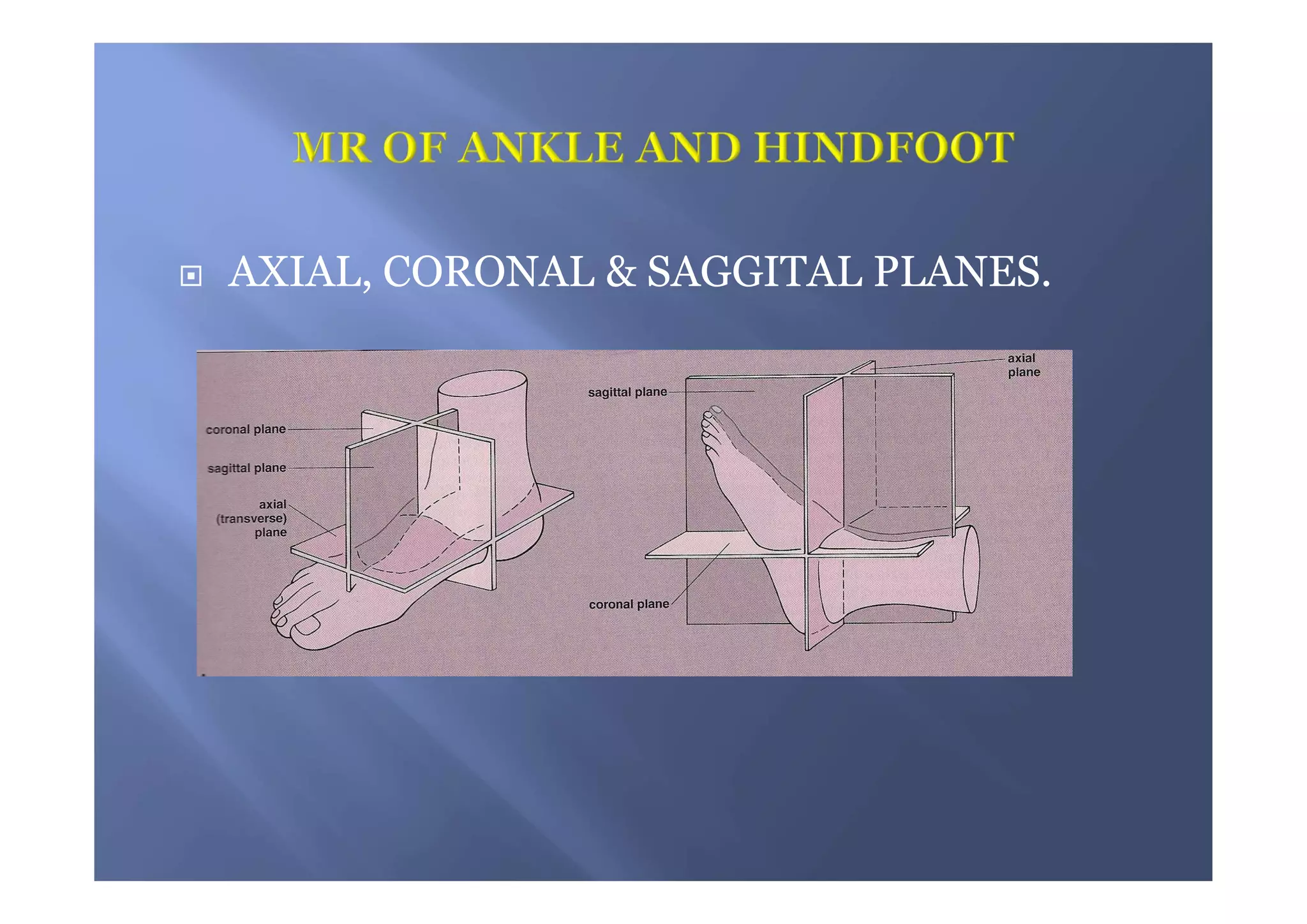 Mri anatomy of ankle | PDF