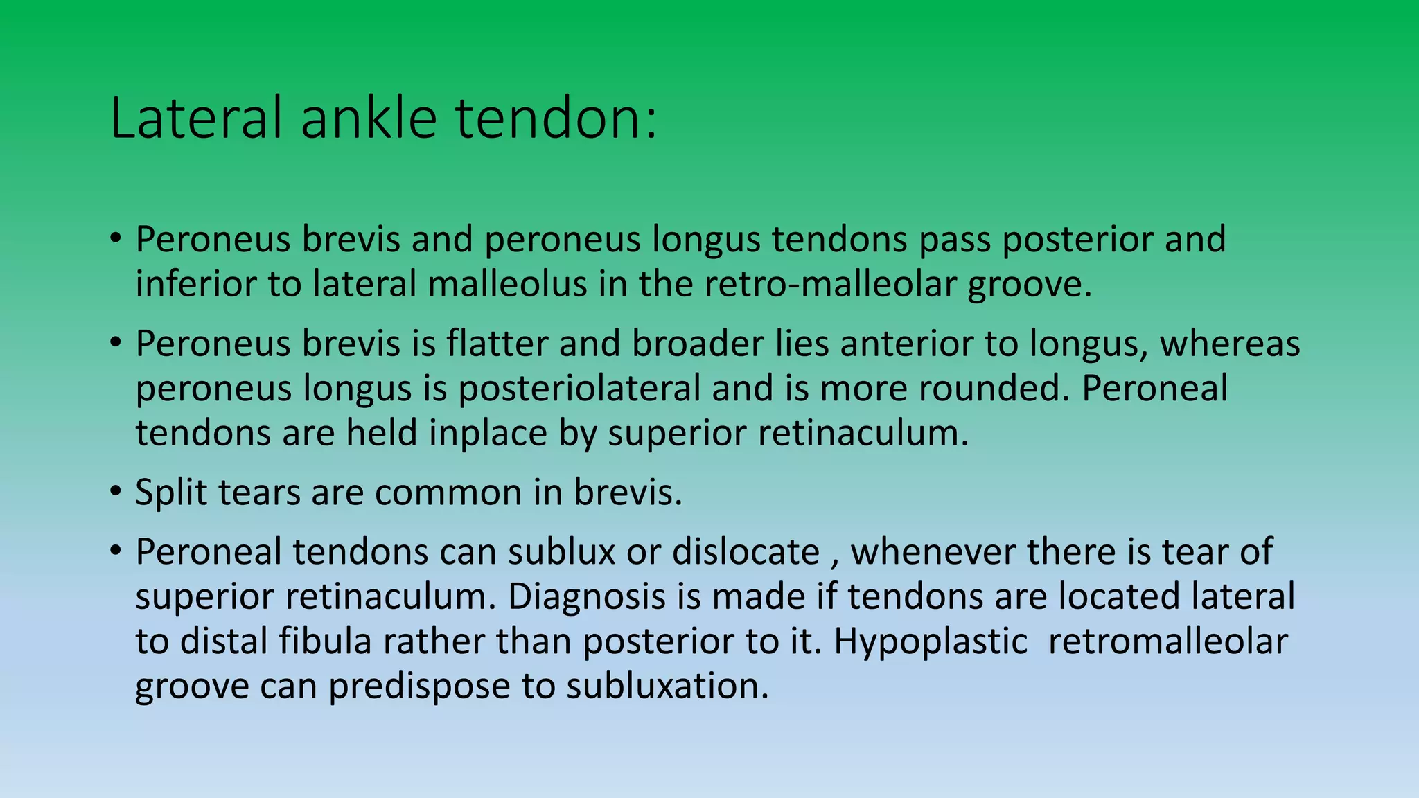 Mri anatomy of ankle radiology ppt pk | PPTX