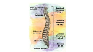 MRI and CT of spine.pptx