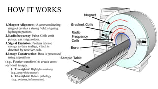 MRI and fMRI lifesciences and neurology ppt | PPTX