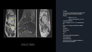 MRI ANKLE and various pathology interpretation | PPTX