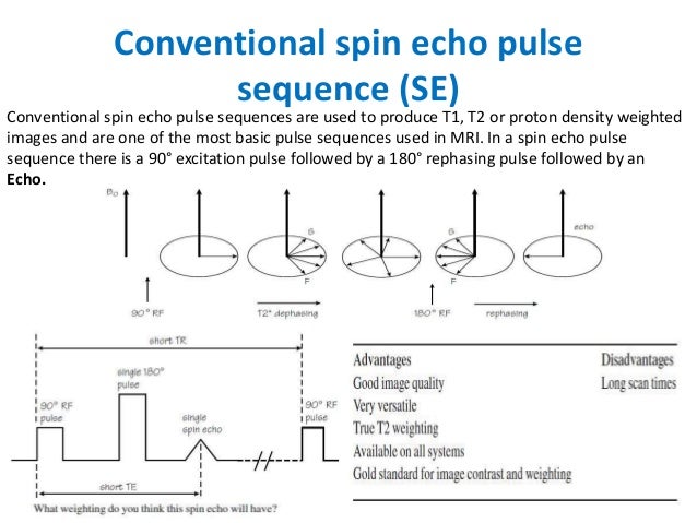 Basic Mri Pulse Sequence