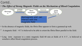 MRI BIOLOGICAL EFFECT AND SAFTEY CONCERNS.pptx