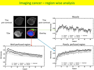 MRI in biomedical research | PDF