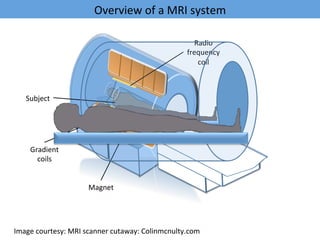 MRI in biomedical research | PDF