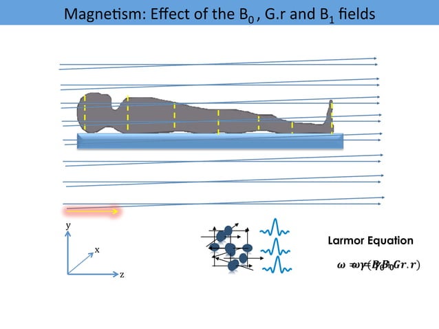 MRI in biomedical research | PDF