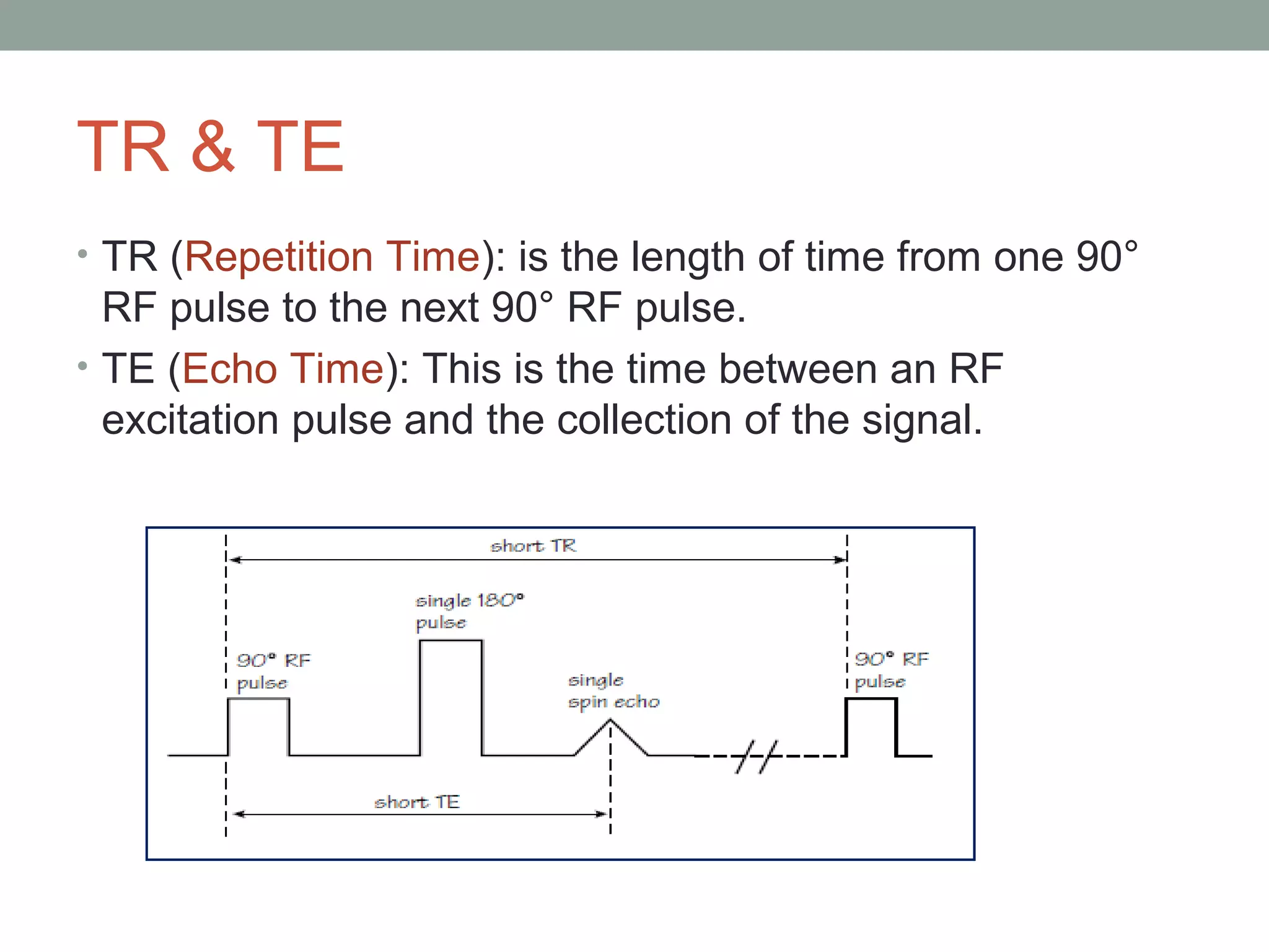 MRI brain; Basics and Radiological Anatomy | PPT