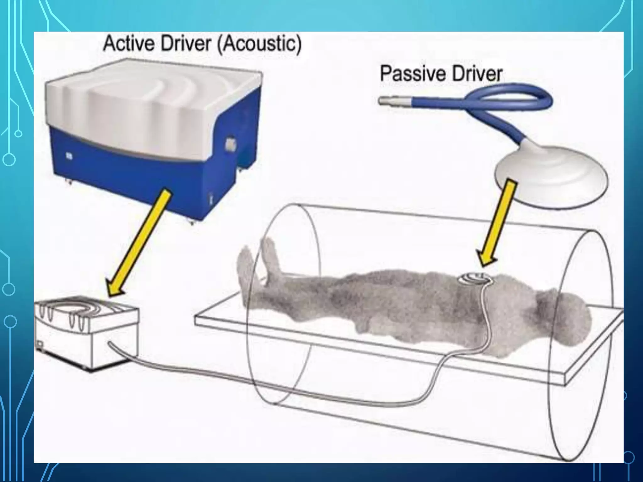 Mri elastography | PPTX