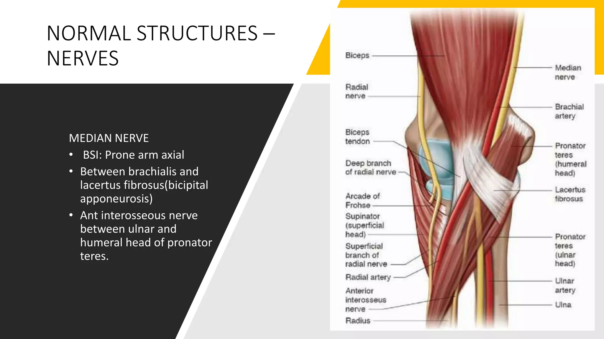 MR ANATOMY OF WRIST AND ELBOW RV | PPTX