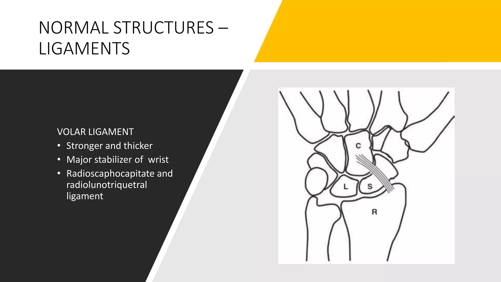 MR ANATOMY OF WRIST AND ELBOW RV | PPT