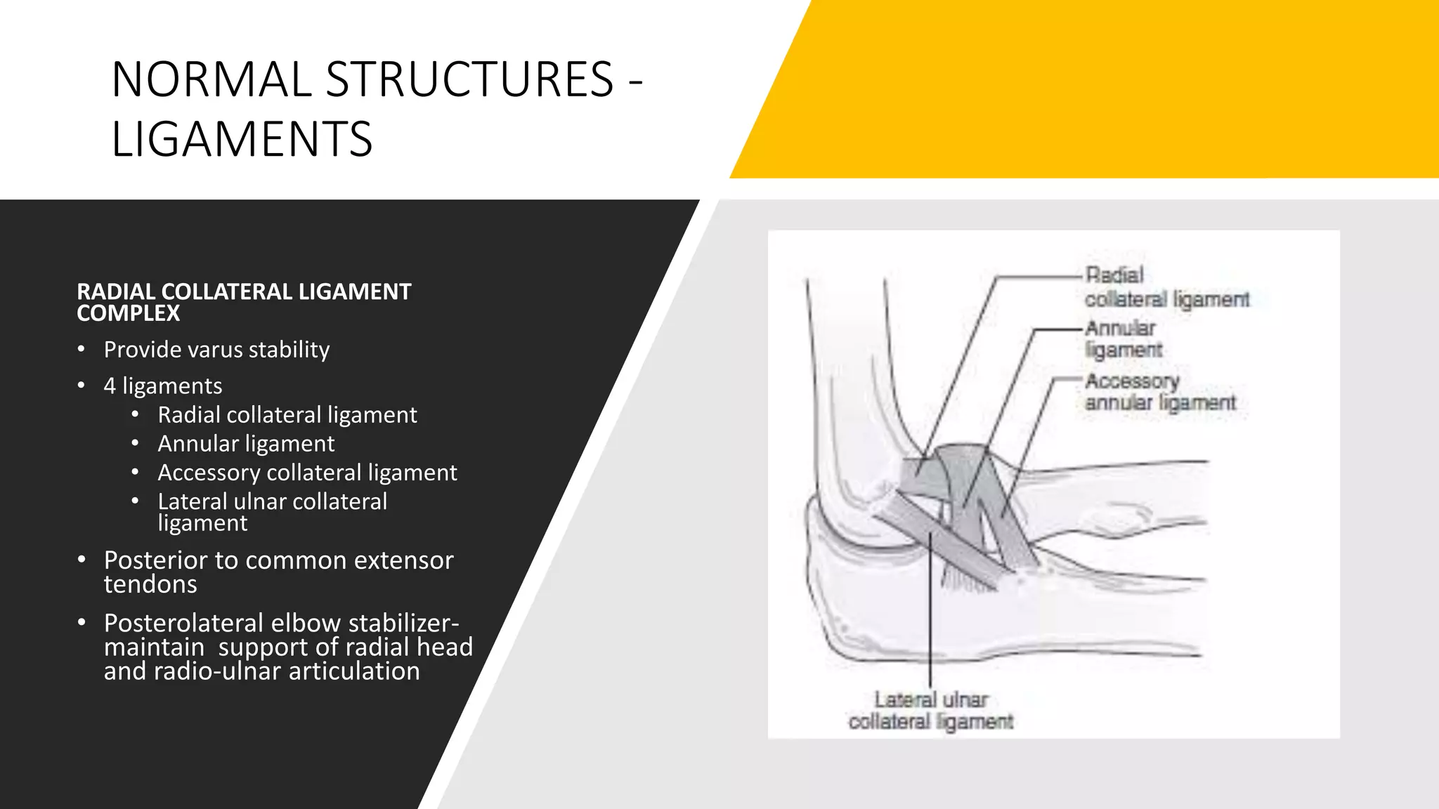 MR ANATOMY OF WRIST AND ELBOW RV | PPTX