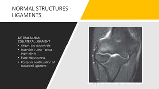 MR ANATOMY OF WRIST AND ELBOW RV | PPTX