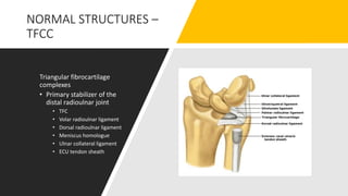 MR ANATOMY OF WRIST AND ELBOW RV | PPTX