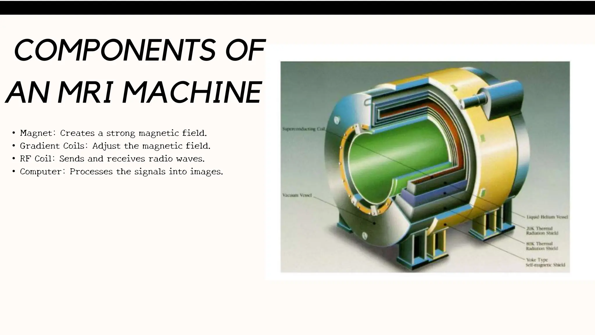 "Understanding MRI Scans: How They Work – A Guide by Sanjivini ...