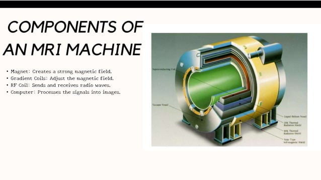 "Understanding MRI Scans: How They Work – A Guide by Sanjivini ...