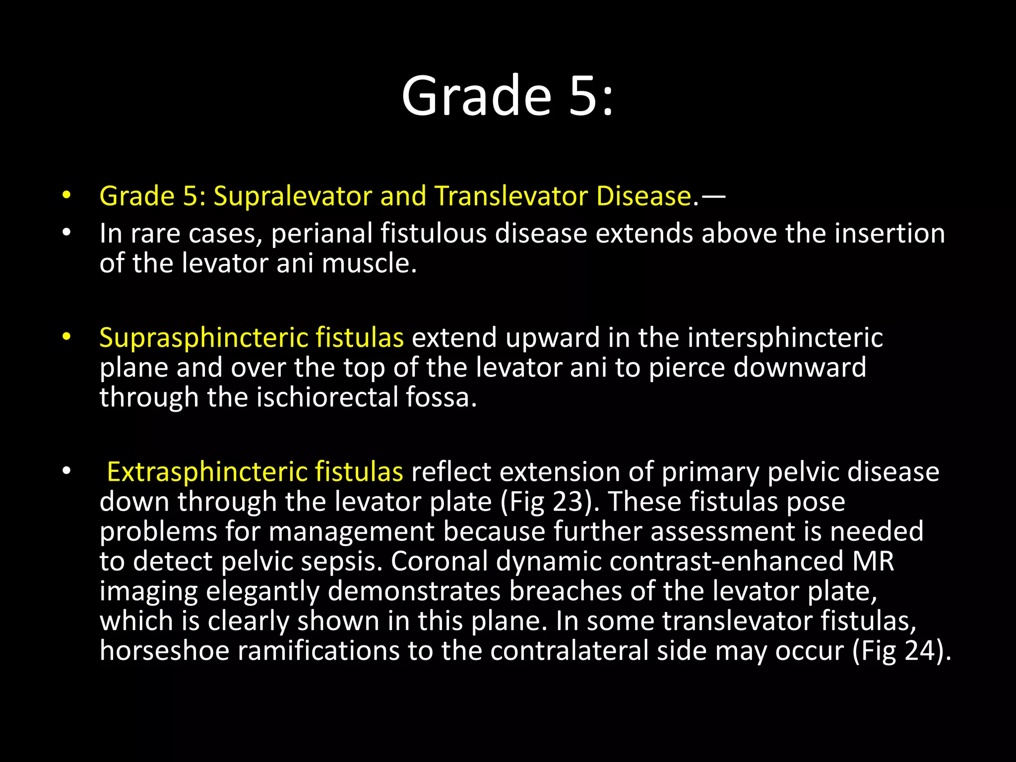 MRI fistulogram | PDF