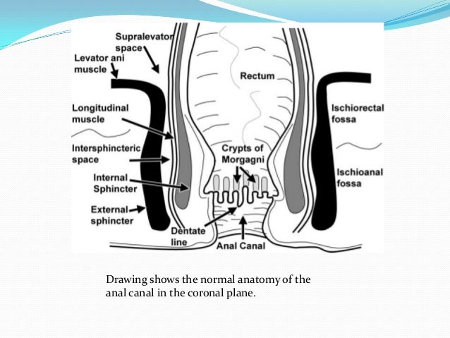 Mri for identifying types of fistulae