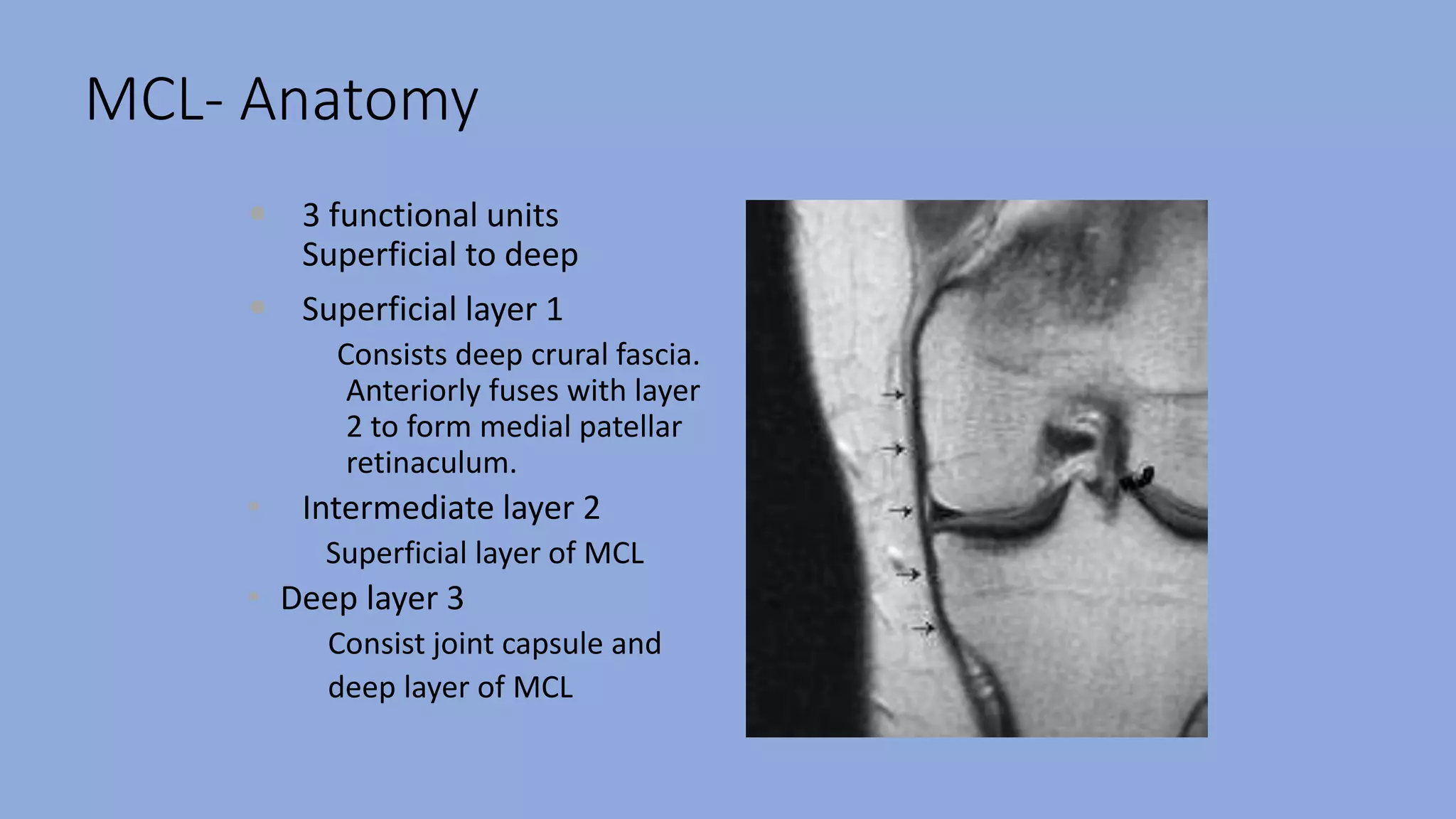 Mri knee and ankle anatomy presentation pk1 | PPTX