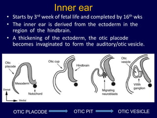 Magnetic Resonance Imaging Of Inner Ear | PPTX