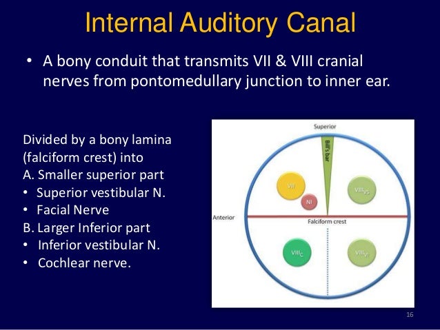 Magnetic Resonance Imaging Of Inner Ear
