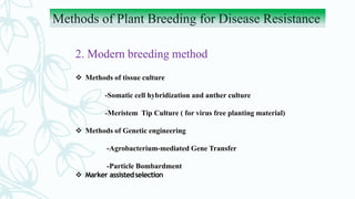 Conventional and Modern Breeding for Disease Resistant Program in Plant ...