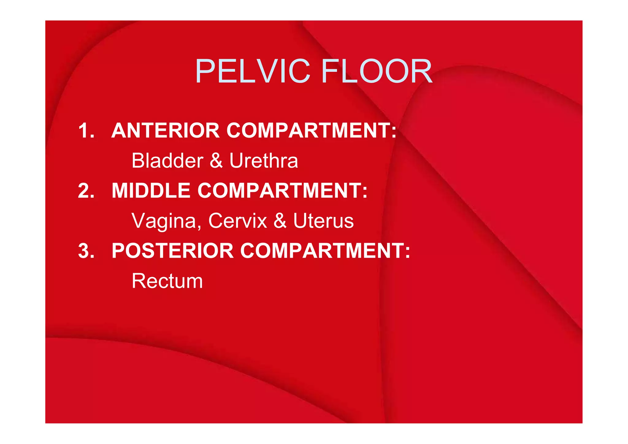 Mri pelvic floor | PDF