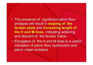 Mri pelvic floor | PDF