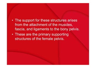 Mri pelvic floor | PDF