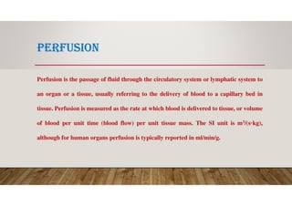 MRI PERFUSION.pdf