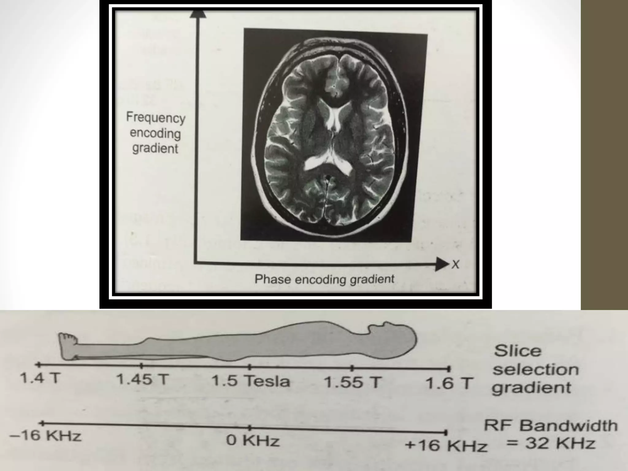 Mri physics | PPTX | Chemistry | Science