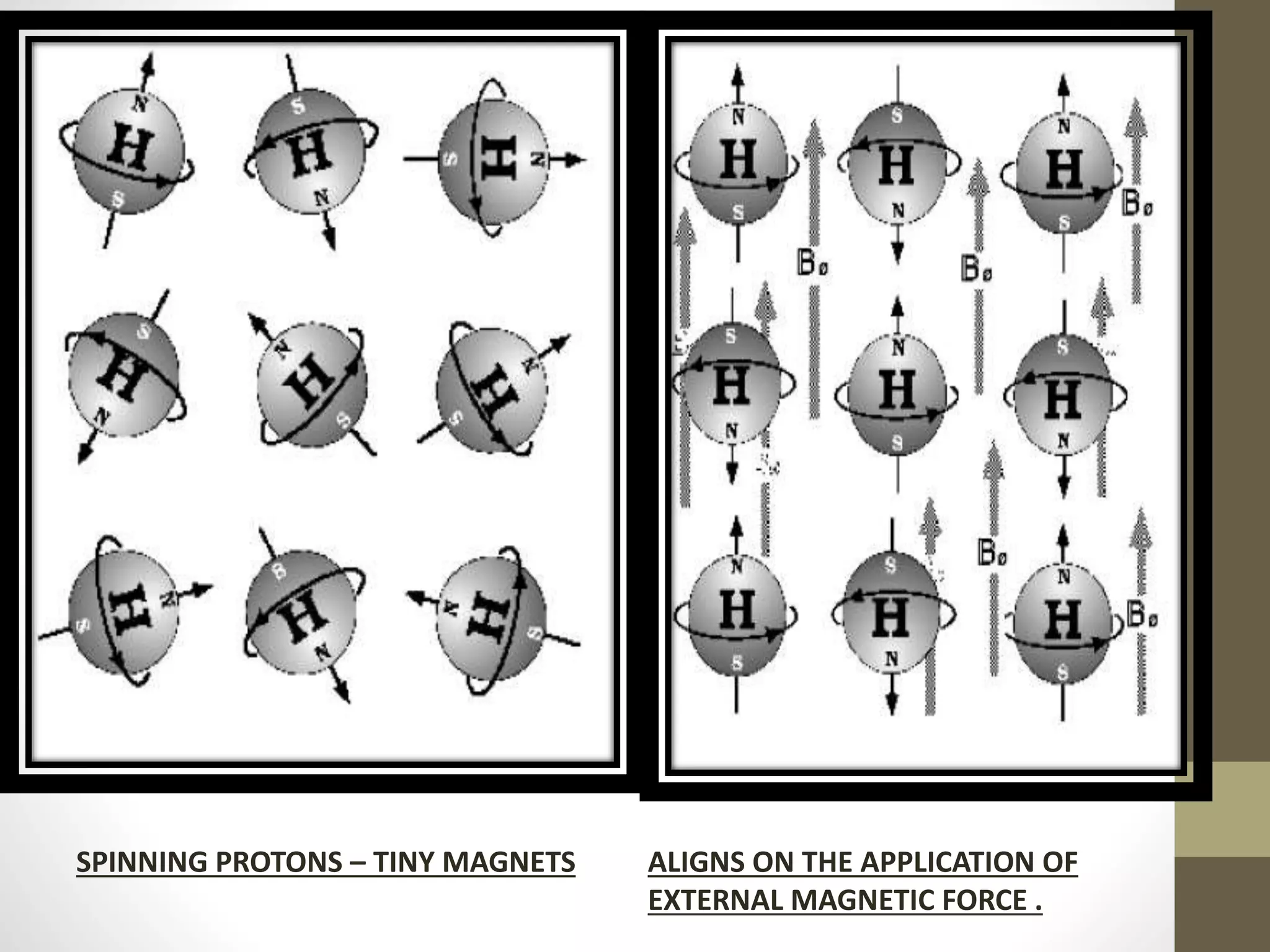 Mri physics | PPTX