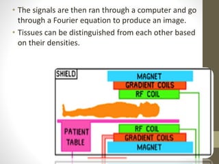Mri physics | PPTX