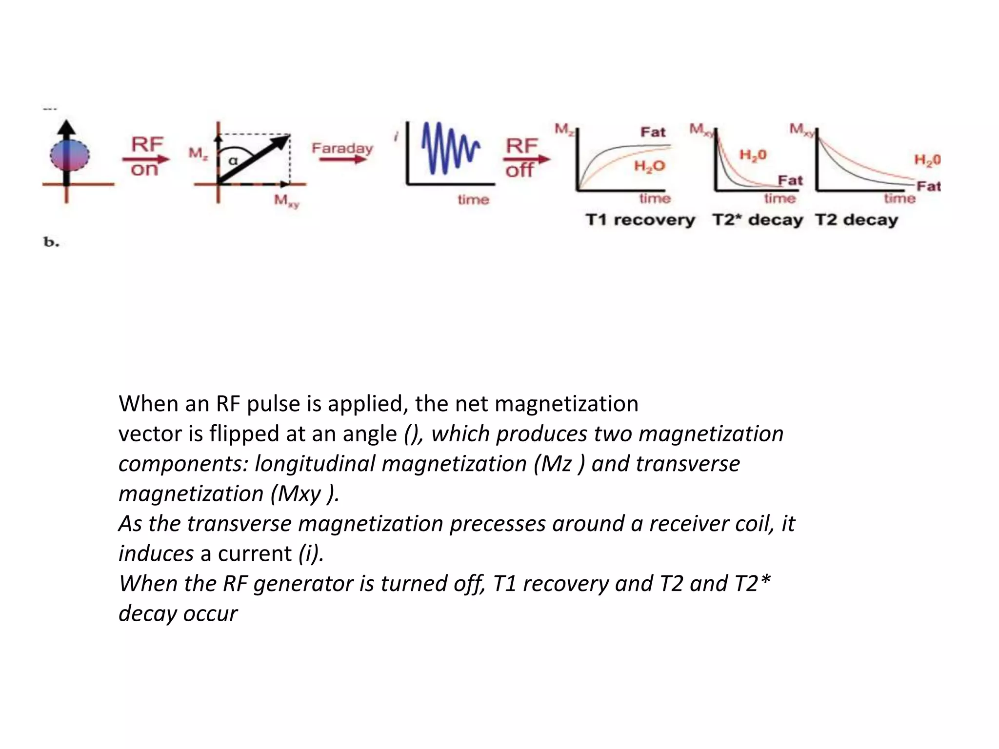 mri physics.pptx