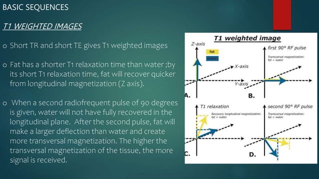 MRI PHYSICS.pptx