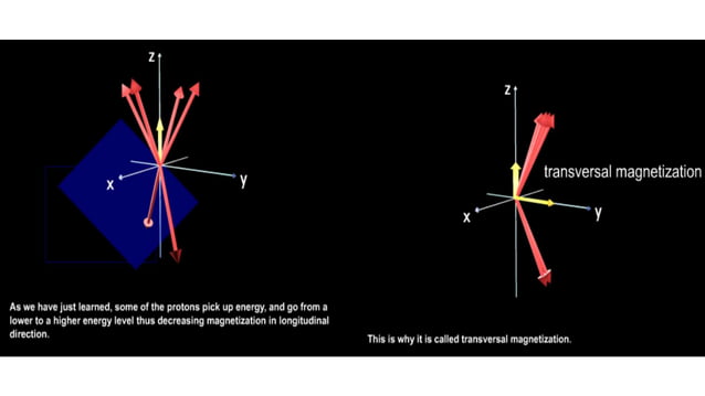 Basics of MRI Physics | PPTX | Chemistry | Science