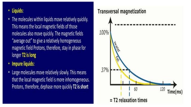 Basics of MRI Physics | PPTX | Chemistry | Science