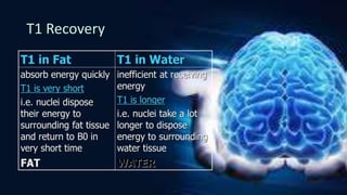 MRI Physics RV | PPTX